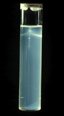 리스테리아 모노사이토게네스, 미생물학, Listeria monocytogenes, microbiology : 네이버 블로그
