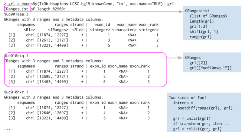 GenomicRanges : 네이버 블로그