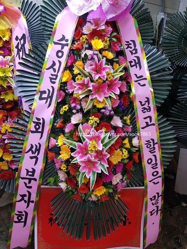 결혼식 센스있는 축하화환문구 실제배송해드린거 정리해봤어요 네이버 블로그