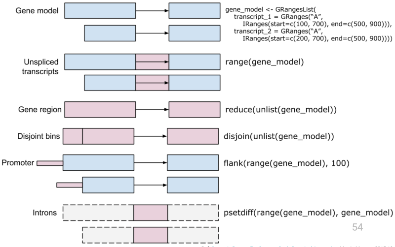 GenomicRanges : 네이버 블로그