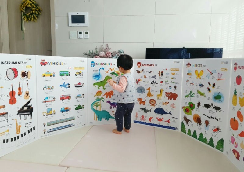 하뚱 세이차트 단어 차트 병풍만들기ㅡ 아기 벽차트 아기 말배우기 아기벽보 탈것 과일 공룡 차트 세이펜 네이버 블로그