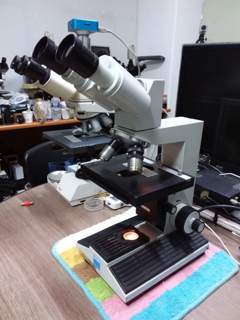 Carl Zeiss LABOVAL 4 쌍안현미경 : 네이버 블로그