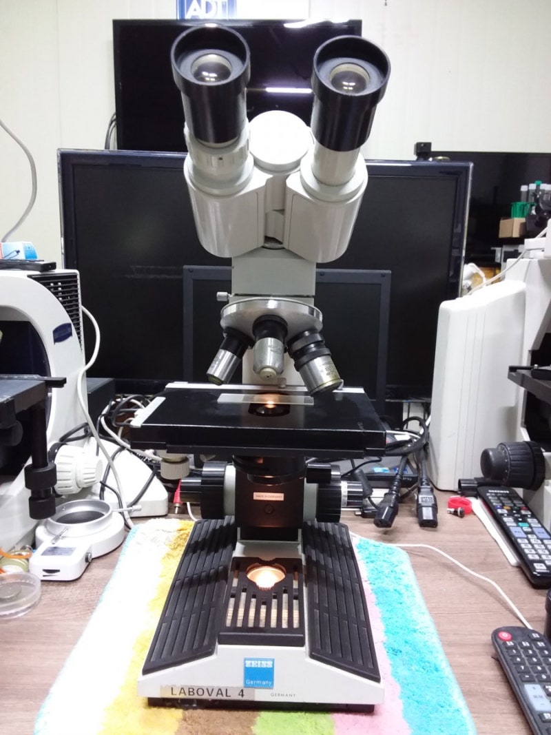 Carl Zeiss LABOVAL 4 쌍안현미경 : 네이버 블로그