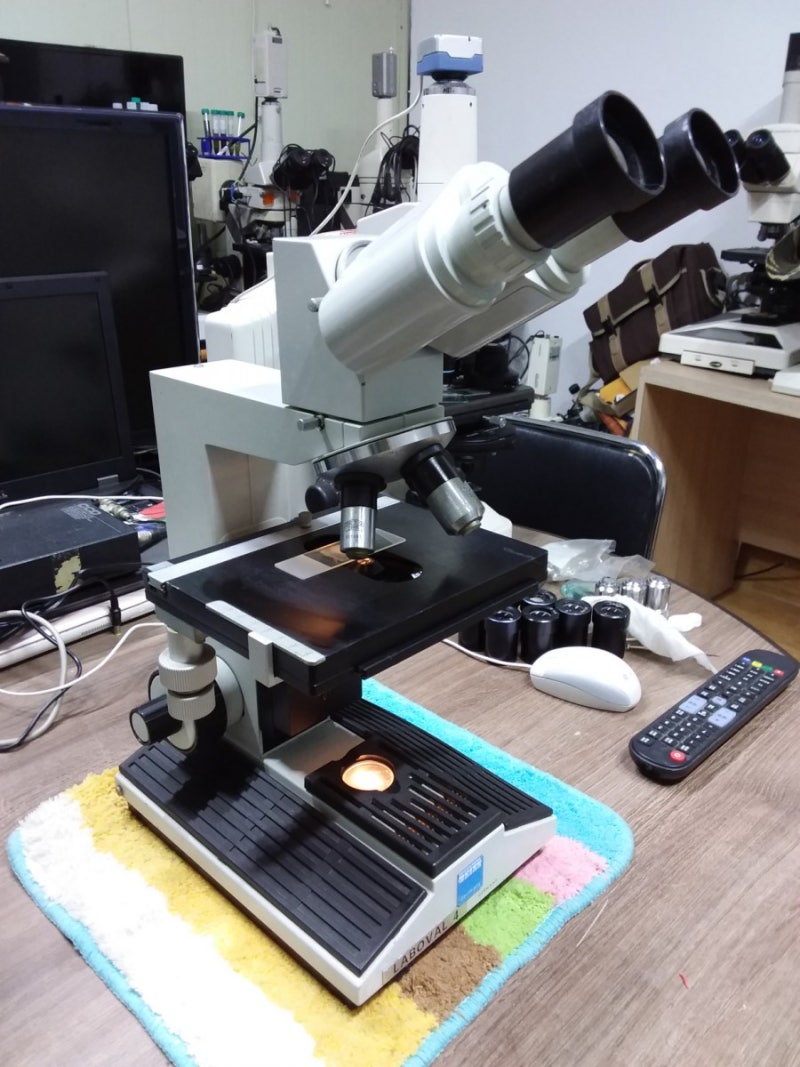 Carl Zeiss LABOVAL 4 쌍안현미경 : 네이버 블로그