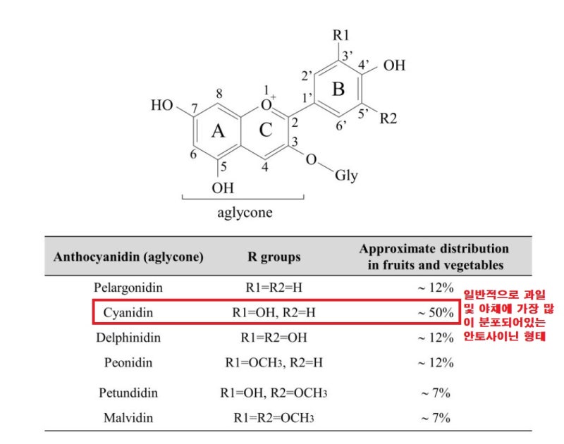 마퀴 베리(Maqui berry) 안토시아닌 표준화 추출물 Delphinol과 MaquiBright 그리고 정향(clove ...