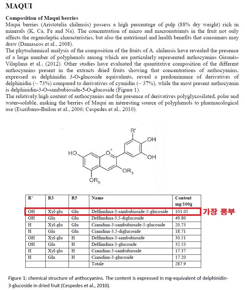 마퀴 베리(Maqui berry) 안토시아닌 표준화 추출물 Delphinol과 MaquiBright 그리고 정향(clove ...