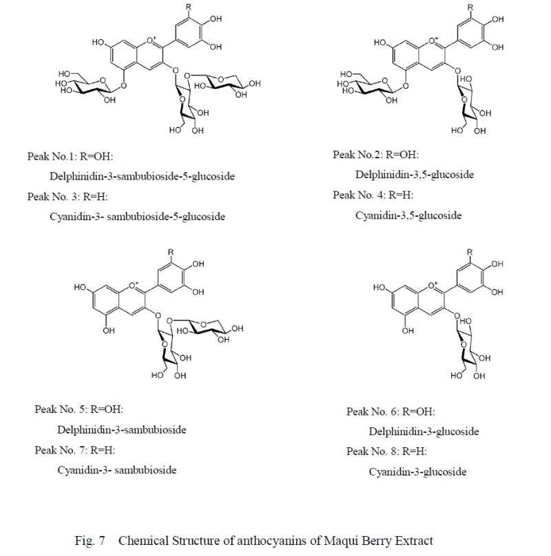 마퀴 베리(Maqui berry) 안토시아닌 표준화 추출물 Delphinol과 MaquiBright 그리고 정향(clove ...