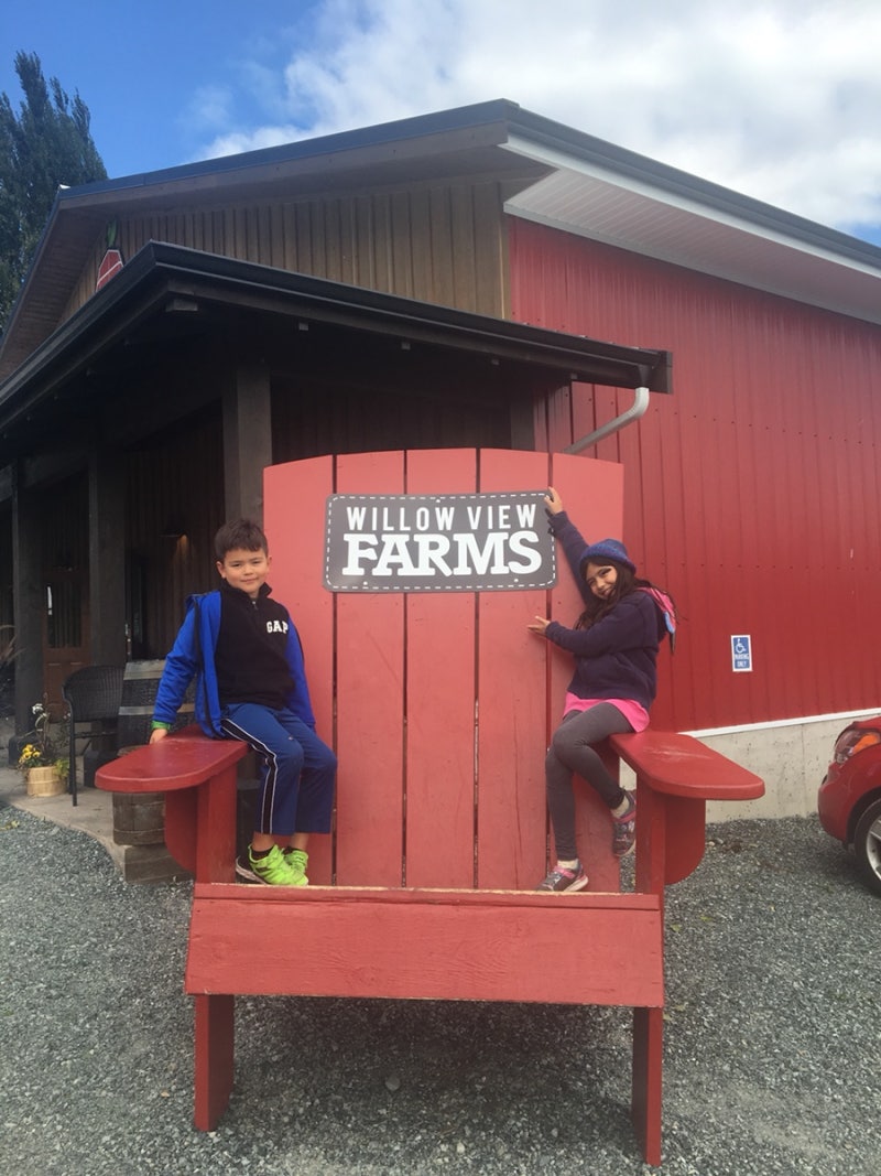 캐나다 :아보츠포드; 윌로뷰팜 ; Willow View Farms : 네이버 블로그