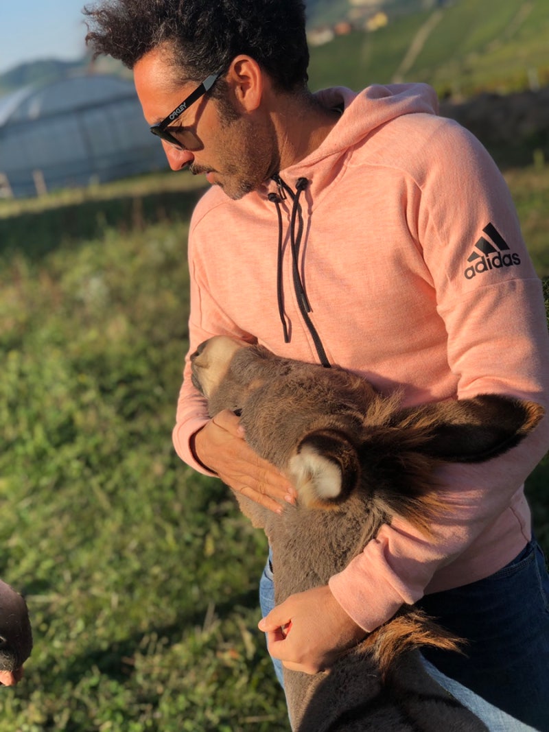 리베토 Rivetto 와이너리 바롤로, 바르바레스코 : 네이버 블로그