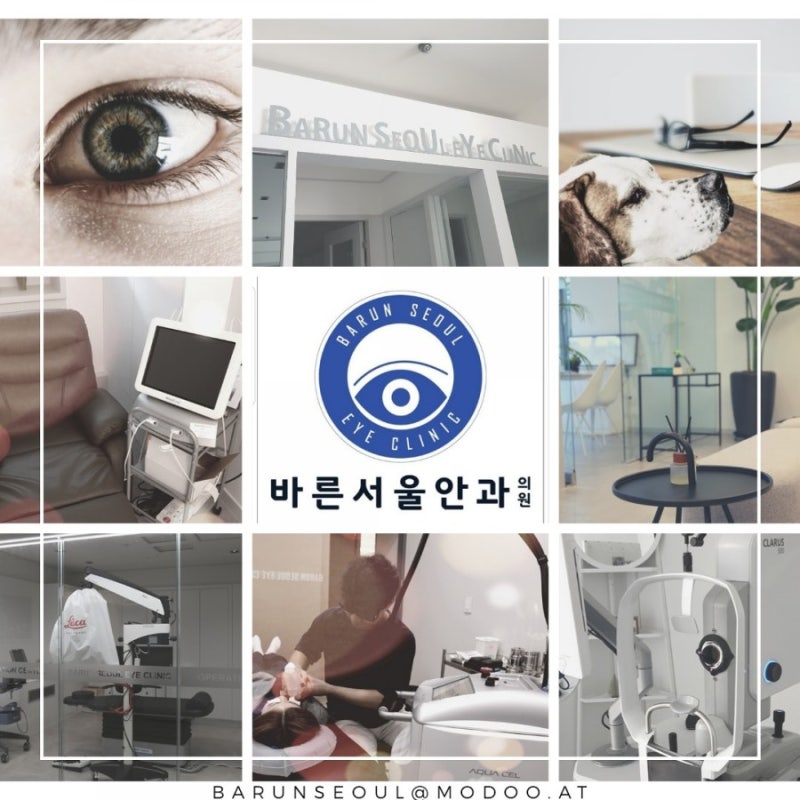 분당 건조증 치료 마이봄샘 치료 Ipl 리피플로우 네이버 블로그