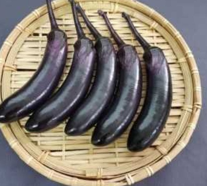 수원 음식모형 특산물 모형 디저트모형 등각종 조형물 제작본뜸 음식모형 네이버 블로그
