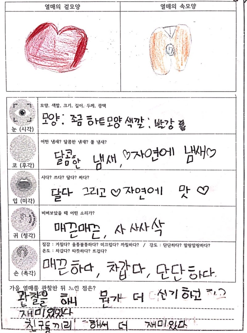 달리쌤 달리플래닛 주렁주렁 가을 열매 열매관찰하기191015 초등2학년통합교과가을 학생참여수업 배움을디자인하다 협동