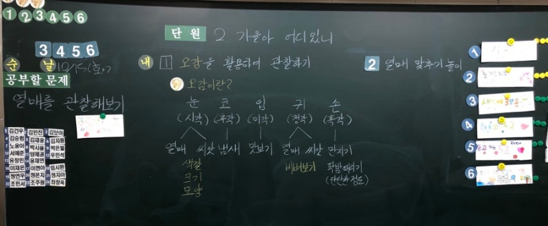 달리쌤 달리플래닛 주렁주렁 가을 열매 열매관찰하기191015 초등2학년통합교과가을 학생참여수업 배움을디자인하다 협동