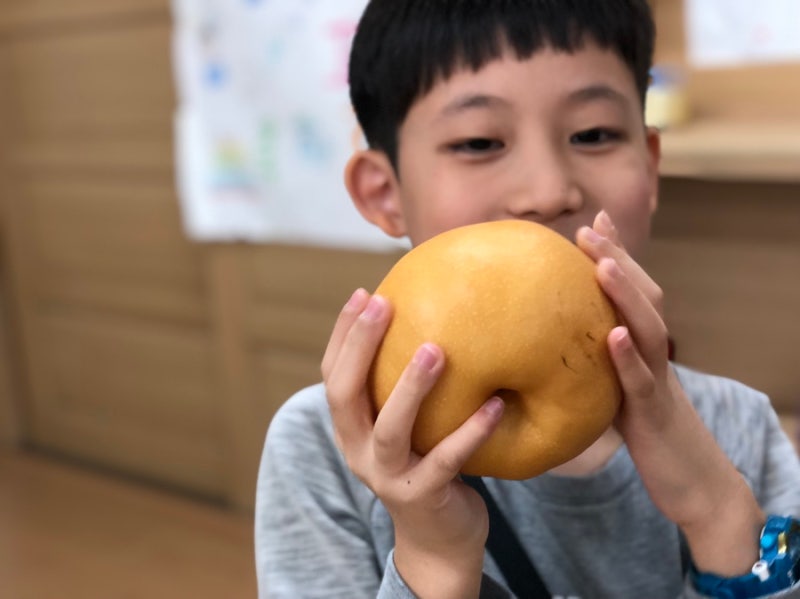 달리쌤 달리플래닛 주렁주렁 가을 열매 열매관찰하기191015 초등2학년통합교과가을 학생참여수업 배움을디자인하다 협동