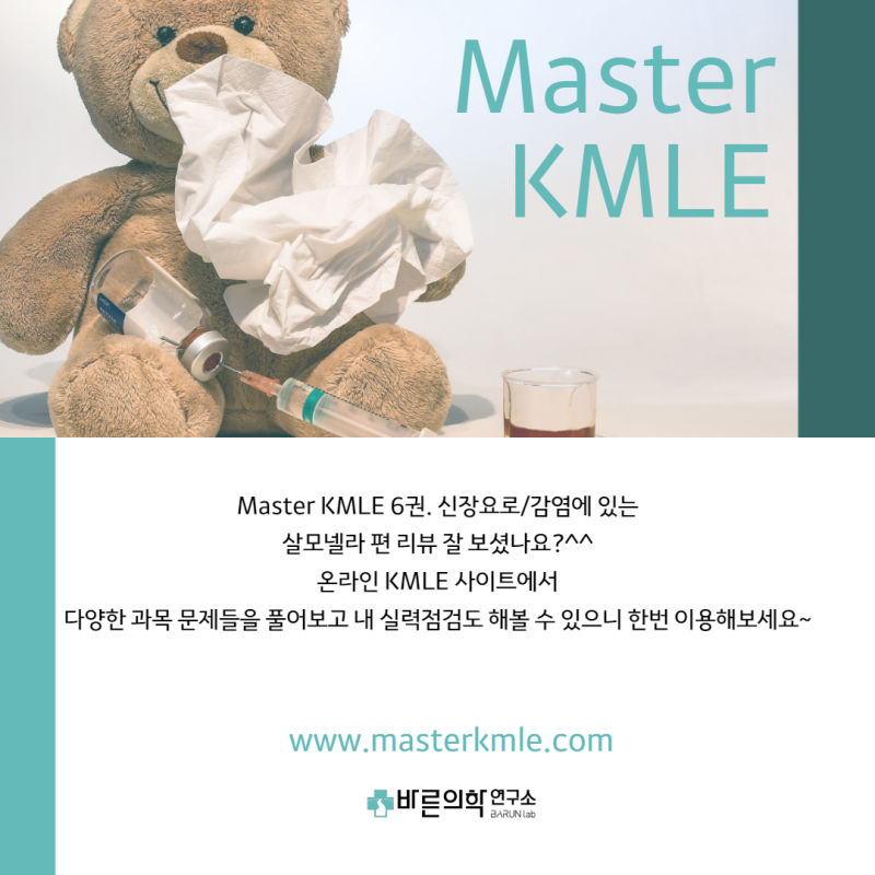 살모넬라 Salmonella 장티푸스 비장티푸스성 병원체 창자열 Enteric Fever원인 병태생리 위험군