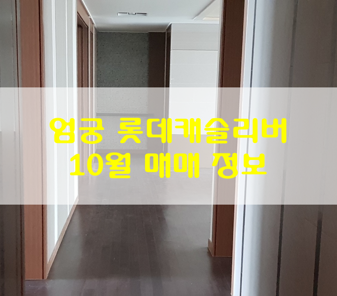 엄궁 롯데캐슬리버 10월 매매 정보 네이버 블로그