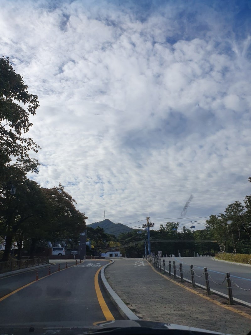 과천 서울대공원 캠핑장 네이버 블로그