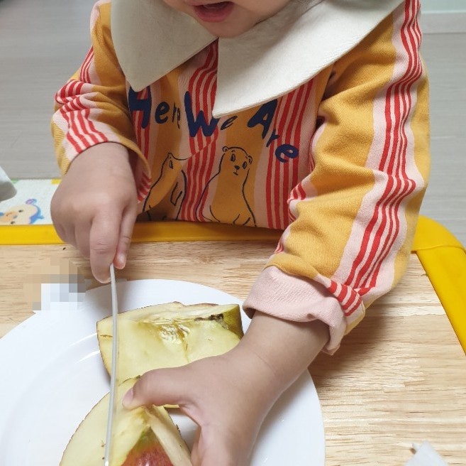 호반아이사랑♡ 주제자연물로놀이해요 언어활동가을열매사진을봐요벼관찰하기 소근육가을열매사과를잘라요 탐색가을과일겉과속을관찰해요 만1세만