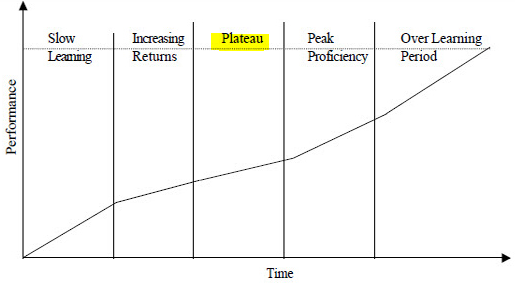 Learning curve(학습곡선) : 네이버 블로그