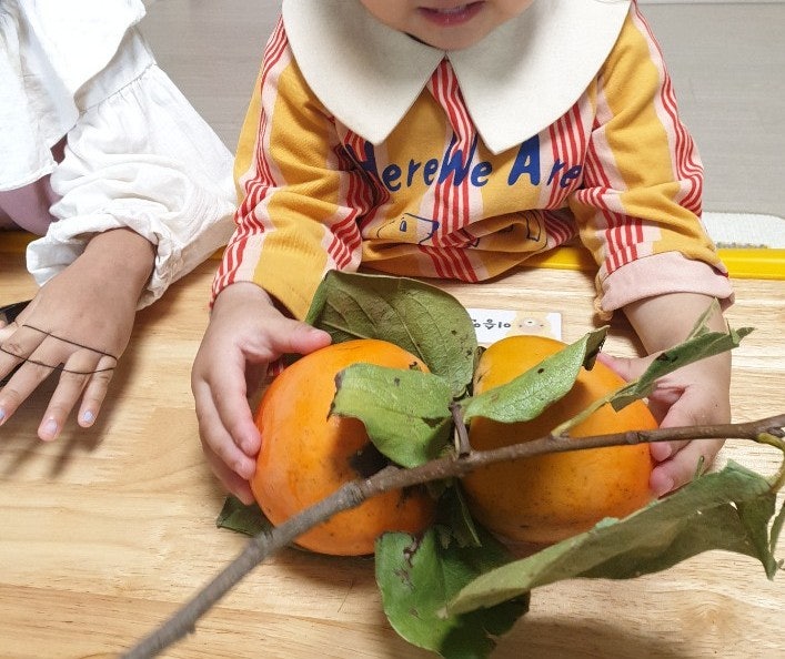 호반아이사랑♡ 주제자연물로놀이해요 언어활동가을열매사진을봐요벼관찰하기 소근육가을열매사과를잘라요 탐색가을과일겉과속을관찰해요 만1세만