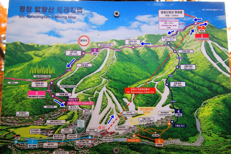 평창 가볼만한곳 용평리조트 발왕산 가을산행 네이버 블로그