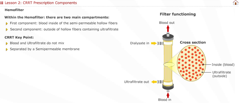 CRRT ; Contineous Renal Replacement Therapy : 네이버 블로그