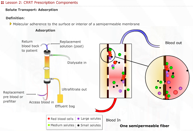 CRRT ; Contineous Renal Replacement Therapy : 네이버 블로그