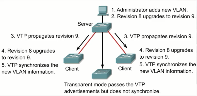 VTP : 네이버 블로그