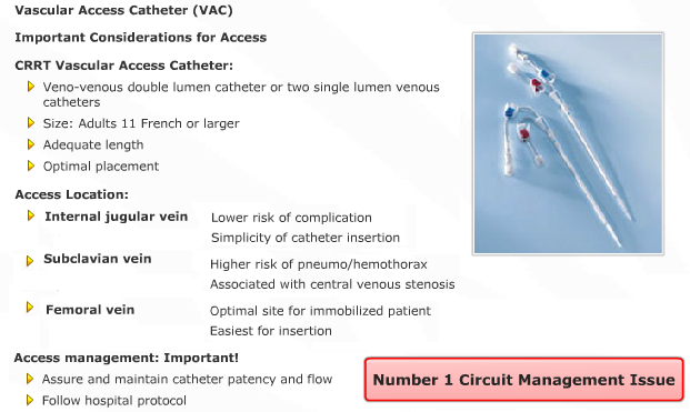 CRRT ; Contineous Renal Replacement Therapy : 네이버 블로그