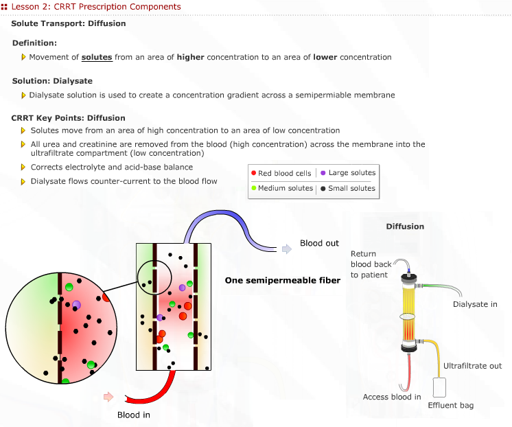 CRRT ; Contineous Renal Replacement Therapy : 네이버 블로그