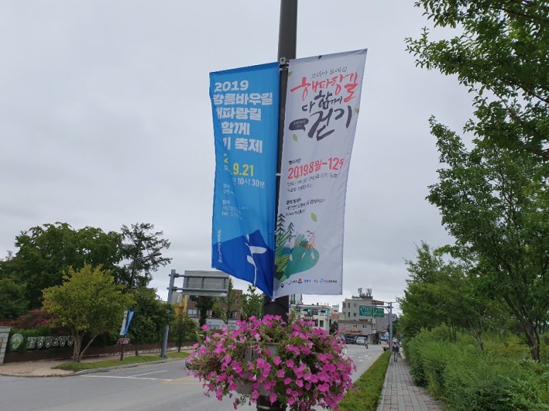 강릉 가로등배너 업체 프렌즈디자인 배너 설치 작업 네이버 블로그