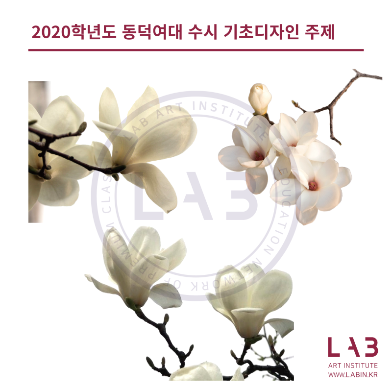 실시간 수시갈랩 2020학년도 동덕여대 수시 기초디자인 패션디자인과 실내디자인과 주제 네이버 블로그