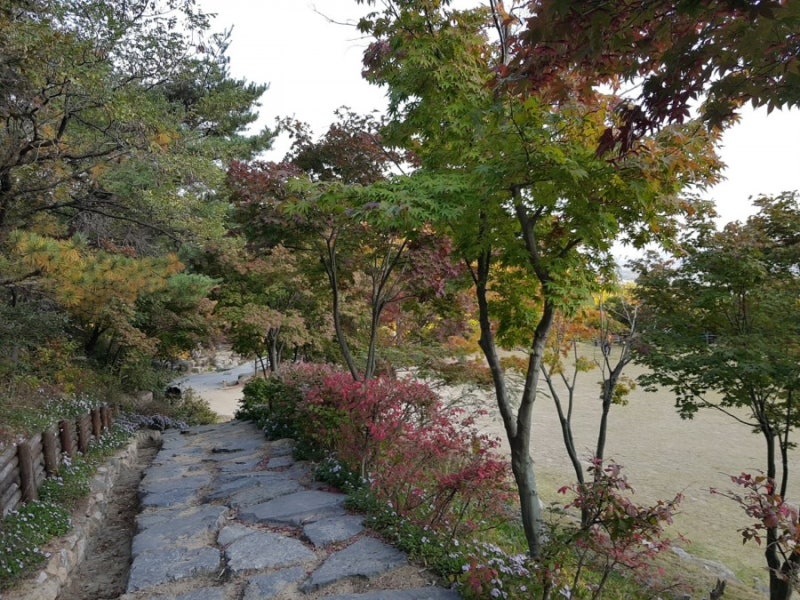 홍성 용봉산 자연휴양림 등산코스 단풍 구경 네이버 블로그