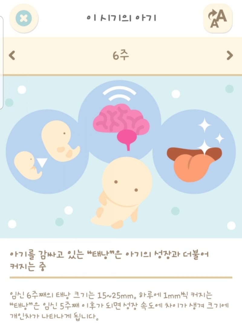 임신초기6~7주증상초음파에서 난황 확인 반지모양 심장 뛰는것 확인and임신어플추천 산전검사 보건소방문 네이버 블로그