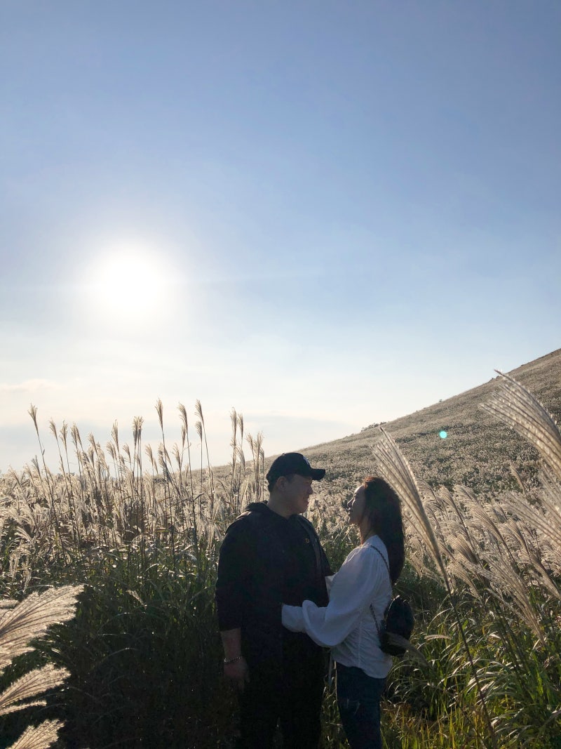 제주도 새별오름 제주 카페새빌 서쪽코스로 추천 네이버 블로그