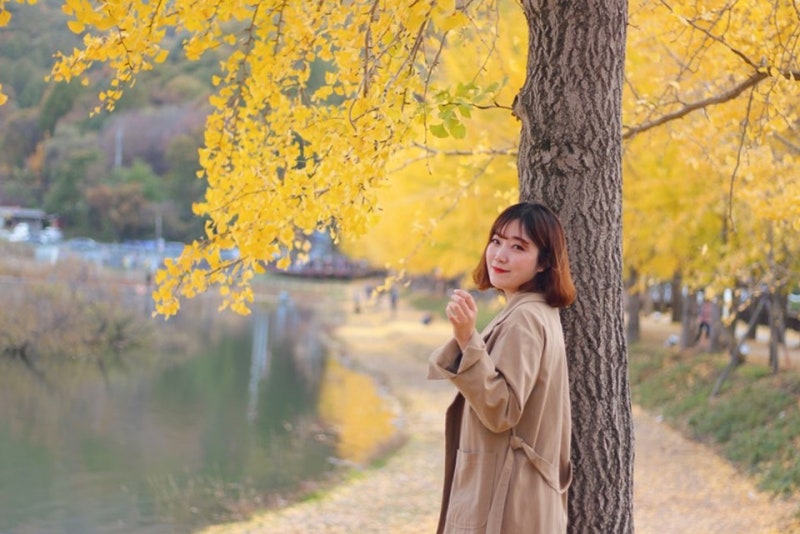 충북 괴산 여행코스 문광저수지 은행나무길 사진찍기좋은곳 네이버 블로그