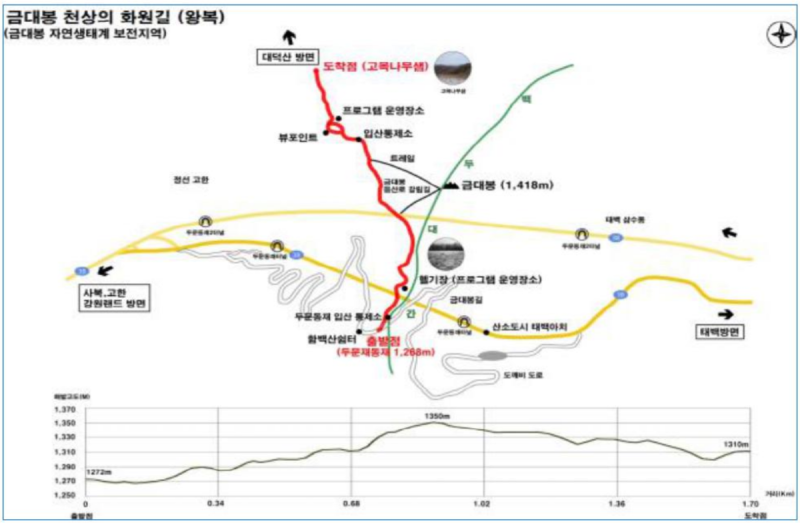 태백 천상의 숲길 코스 안내 황부자 며느리길 검룡소 발원지길 금대봉 천상의 화원길 만항재 야생화길 지지리 숲길