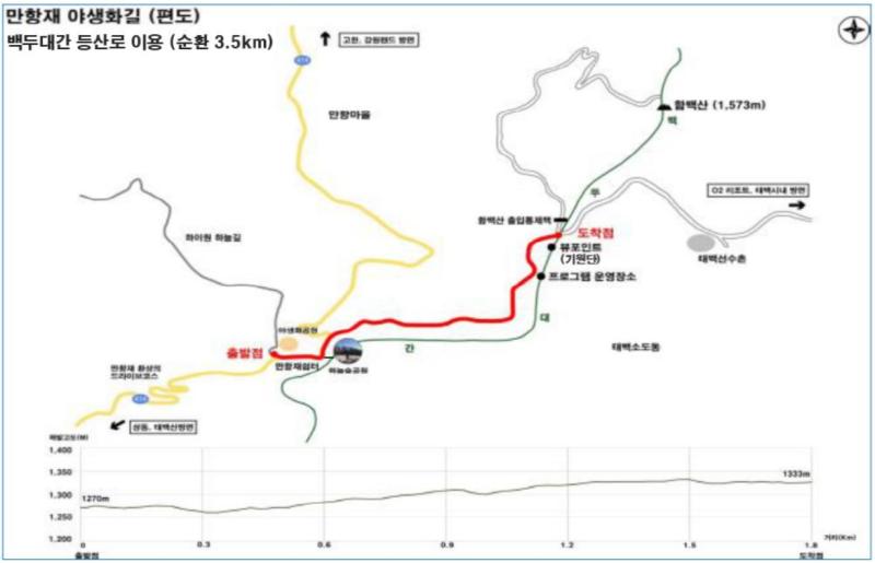 태백 천상의 숲길 코스 안내 황부자 며느리길 검룡소 발원지길 금대봉 천상의 화원길 만항재 야생화길 지지리 숲길