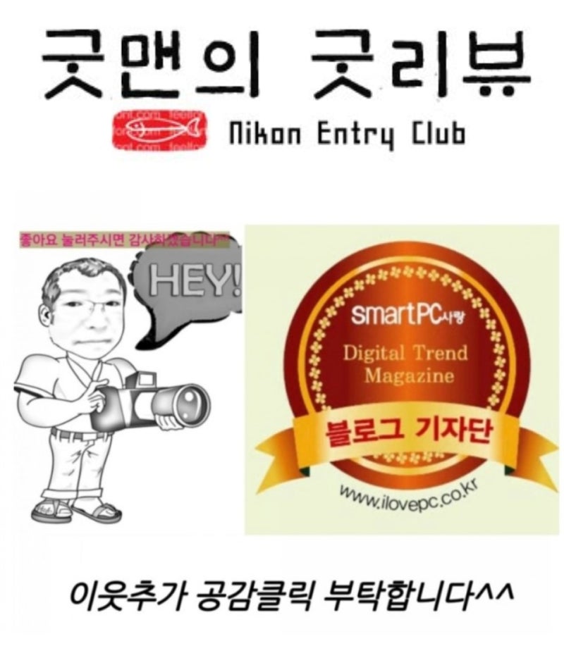 통증 완화에 좋은 근육이완제 속사존 약국에서 구입했습니다 네이버 블로그