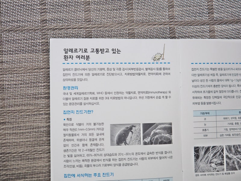 집 먼지 진드기 퇴치법 알러지 방지 세제 추천 집먼지 진드기 제거제 아카릴 알레르기 방지 세제 네이버 블로그