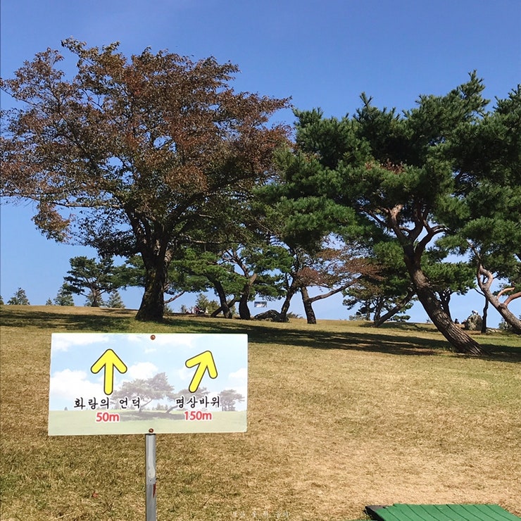 국내여행 경주여행 경주 가볼만한곳 경주 화랑의언덕 캠핑클럽 촬영지 캠핑클럽 경주 네이버 블로그