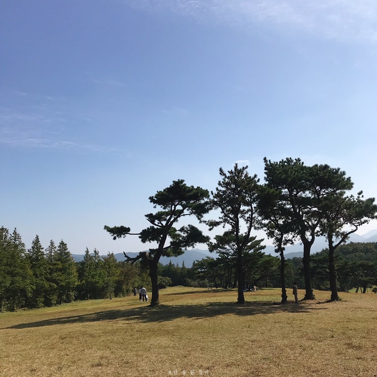 국내여행 경주여행 경주 가볼만한곳 경주 화랑의언덕 캠핑클럽 촬영지 캠핑클럽 경주 네이버 블로그