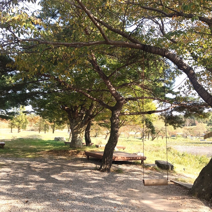 국내여행 경주여행 경주 가볼만한곳 경주 화랑의언덕 캠핑클럽 촬영지 캠핑클럽 경주 네이버 블로그