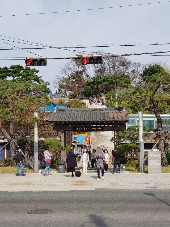 포항경주여행동백꽃 필 무렵 촬영지구룡포 근대문화역사거리일본인 가옥거리까멜리아호미곶 해맞이 광장유화초 전복죽포항