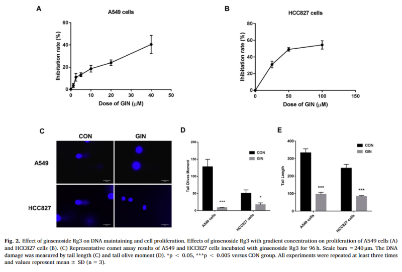 [암/본초] Ginsenoside Rg3(인삼 성분)은 비소세포폐암에서 DNA 손상을 조절한다: VRK1/P53BP1 ...