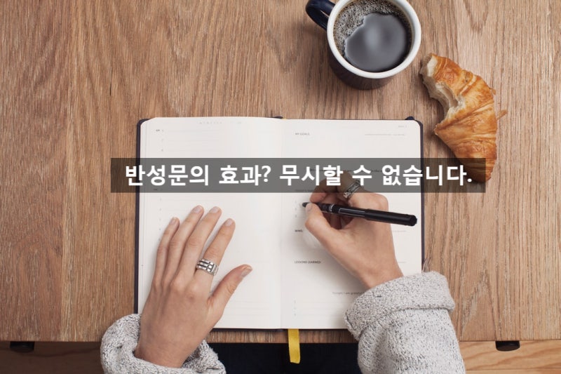 음주운전구제 방법 행정심판 이의신청 청구 반성문 의견서 진정서 탄원서 등의 작성과 대필에 대해서울 경기 수원