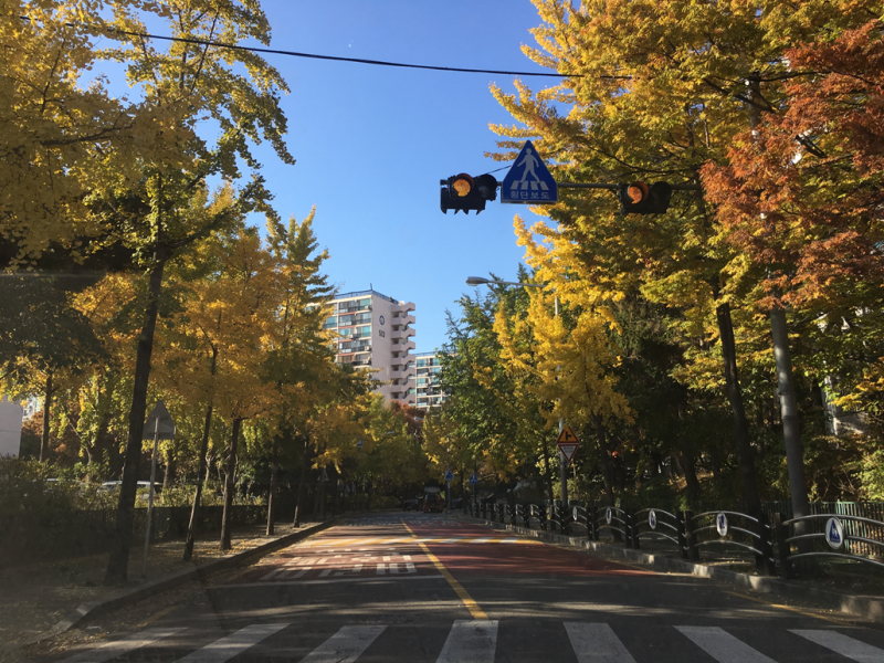 2019년 11월 04일 디에이치자이개포개포주공8단지 재건축 현장 소식 네이버 블로그