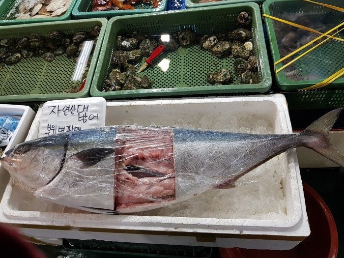 군산 킹크랩 맛있는곳 비응항 수산센터 Feat 방어회 네이버 블로그