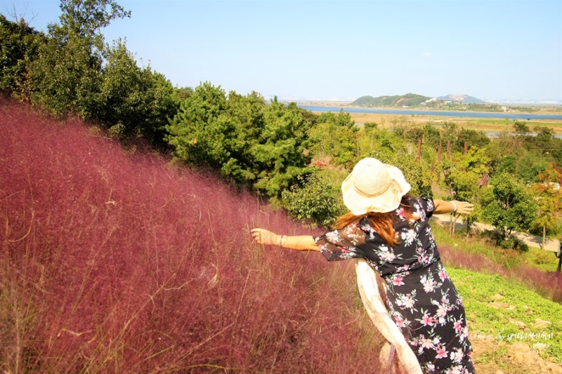 안산 대부도 가볼만한곳 바다향기수목원 산책하고 탄도항 누에섬 일몰 즐기기 네이버 블로그
