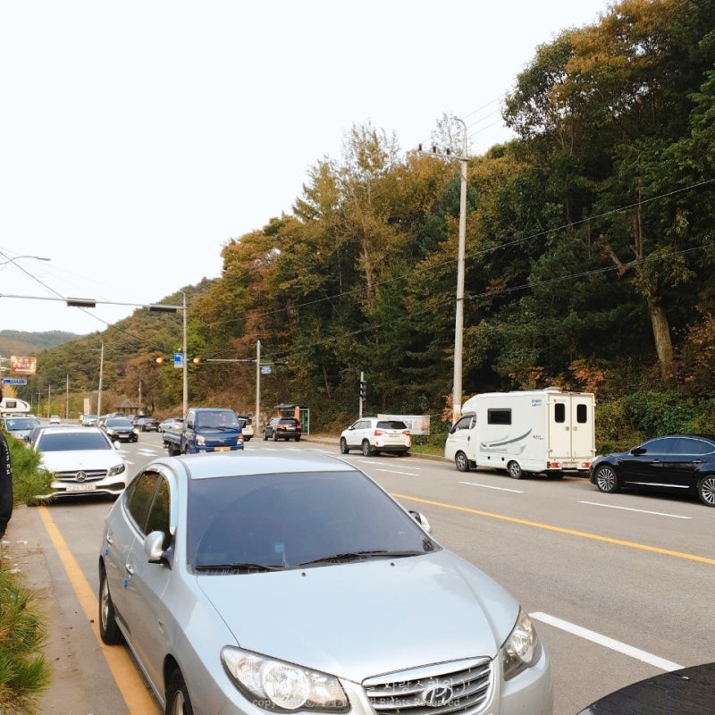 괴산 문광저수지 은행나무길 주차 포토존 단풍시기 네이버 블로그
